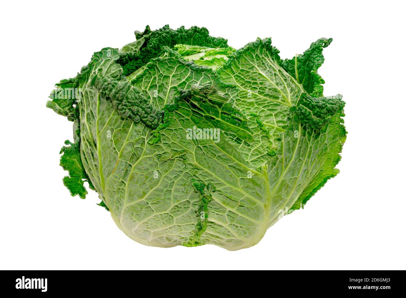 beautiful green cabbage isolated on white background Stock Photo - Alamy