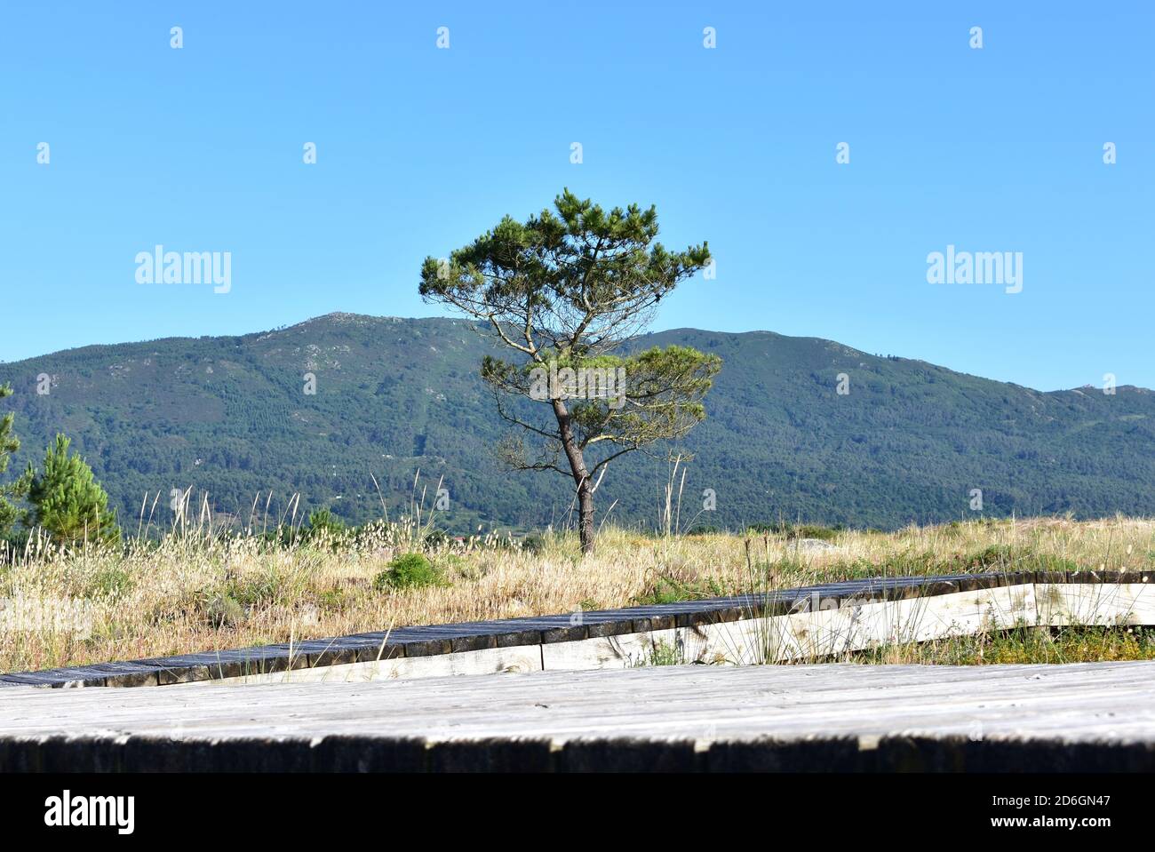 Famous Carnota Beach or Playa de Carnota, the largest galician beach at ...