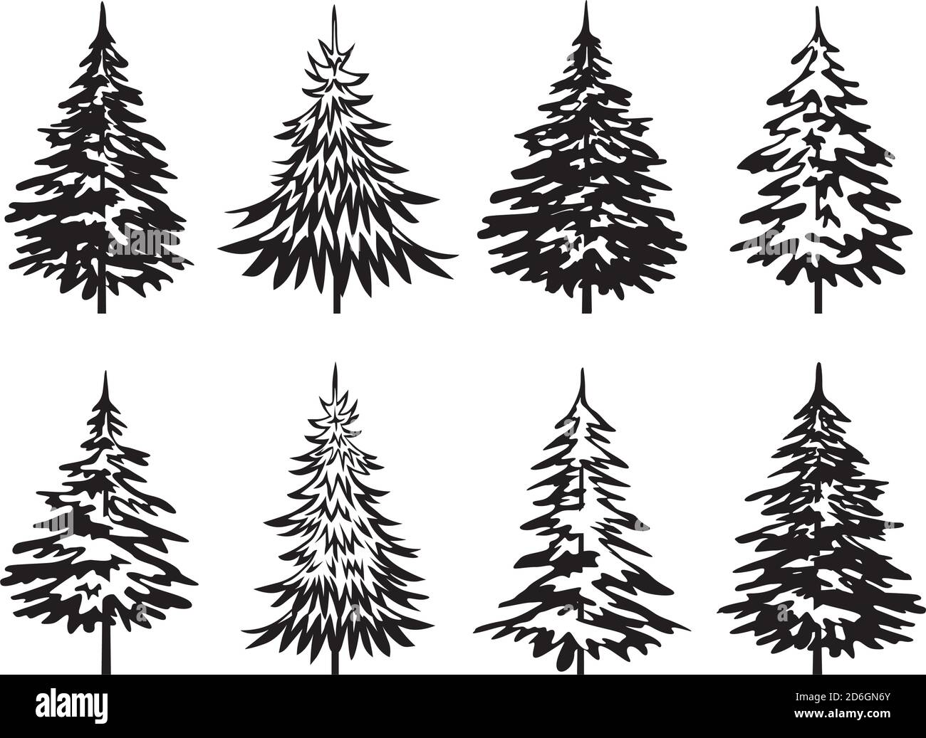 Black Spruce Tree Freshwater