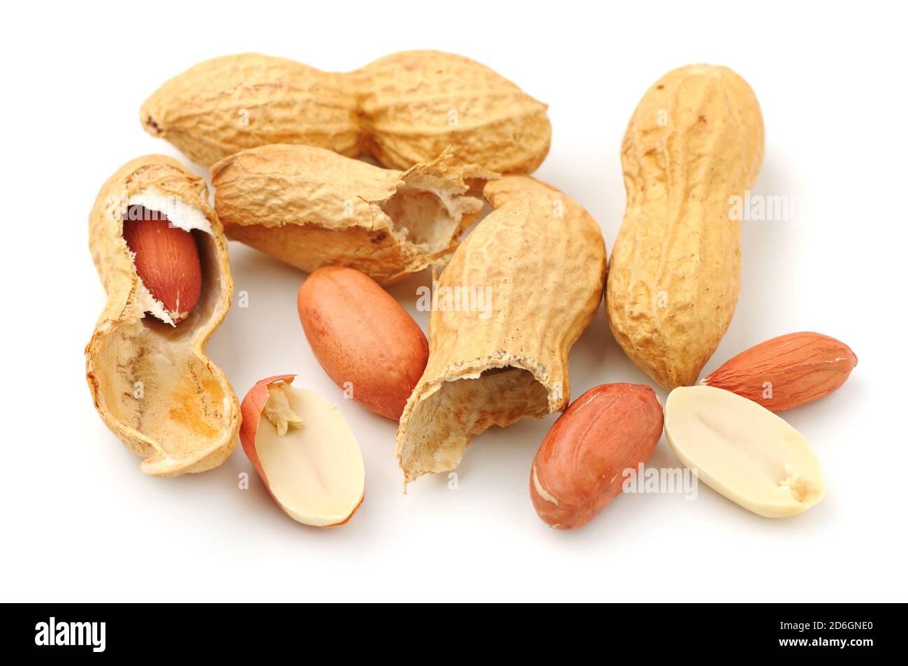 groundnut isolated on white background Stock Photo - Alamy