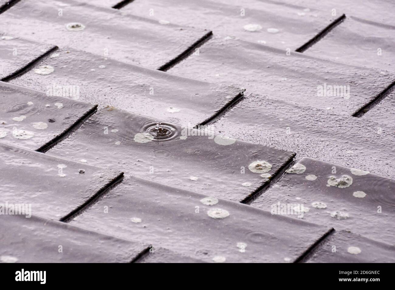 Modern tiles roof Stock Photo - Alamy
