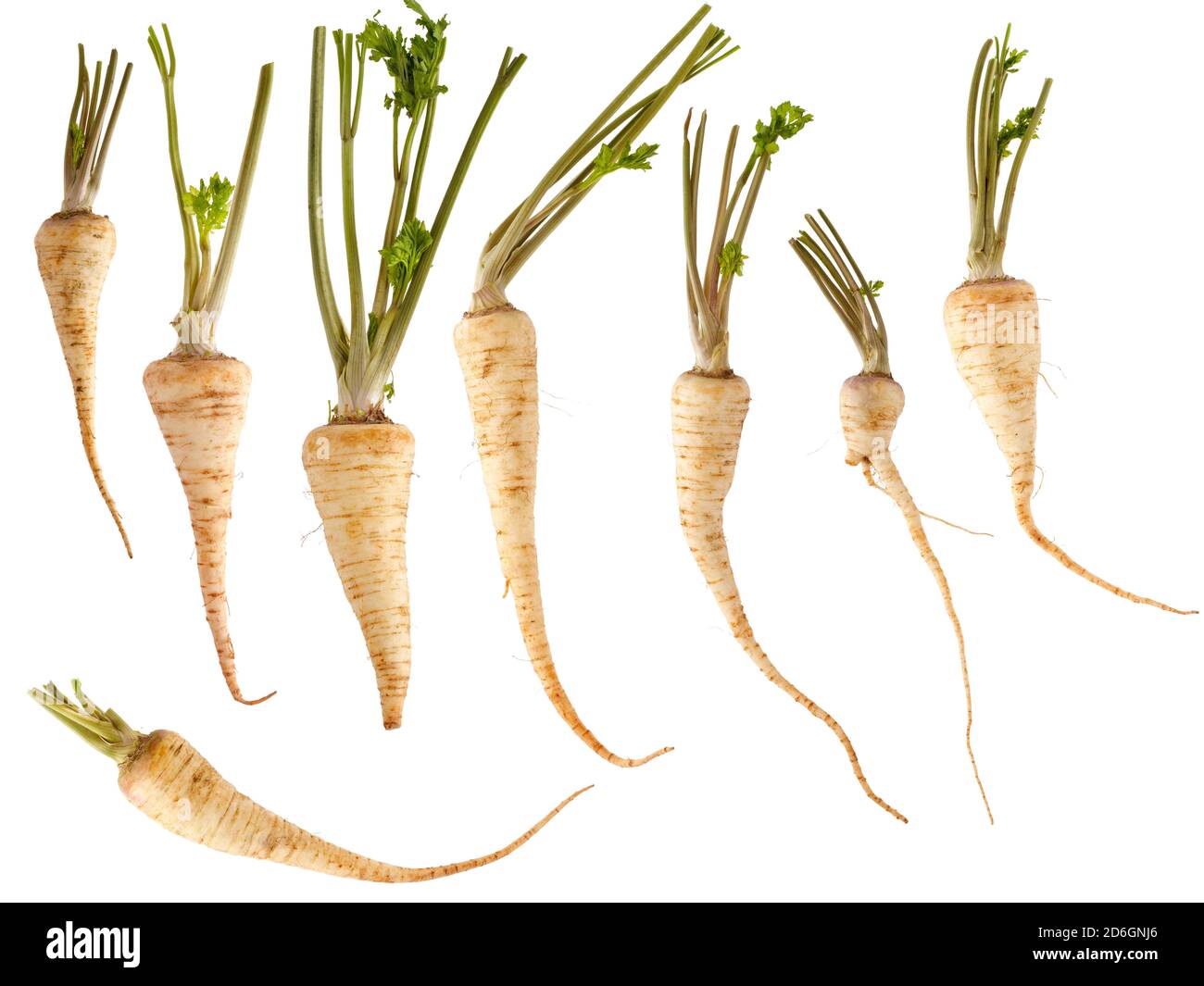 set of raw parsley roots isolated on white background Stock Photo - Alamy