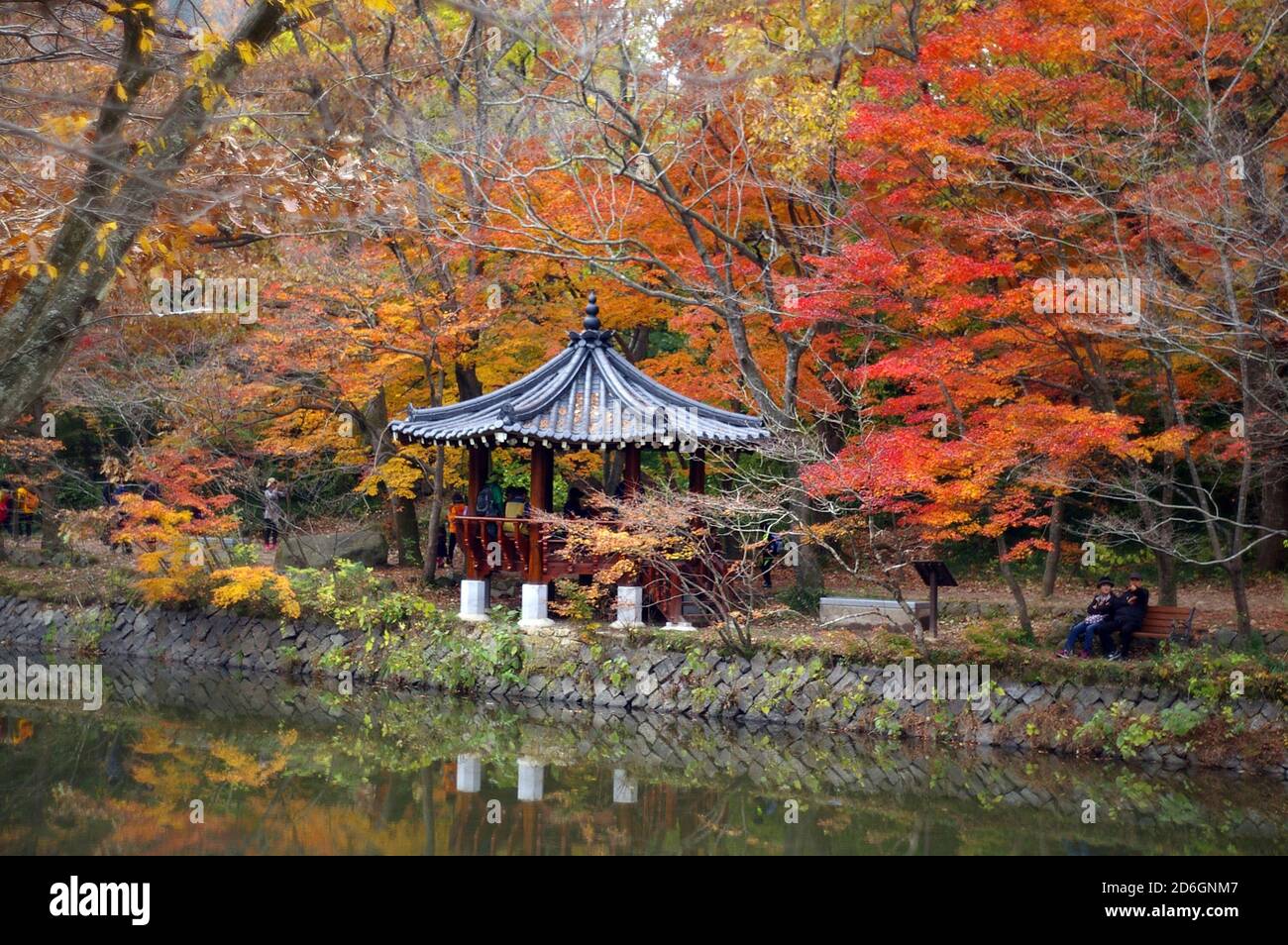 Autume leaves hi-res stock photography and images - Alamy
