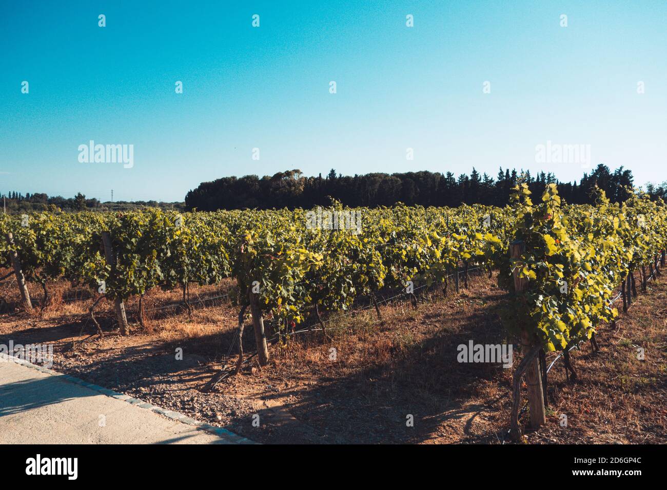Orange wine country australia hi-res stock photography and images - Alamy