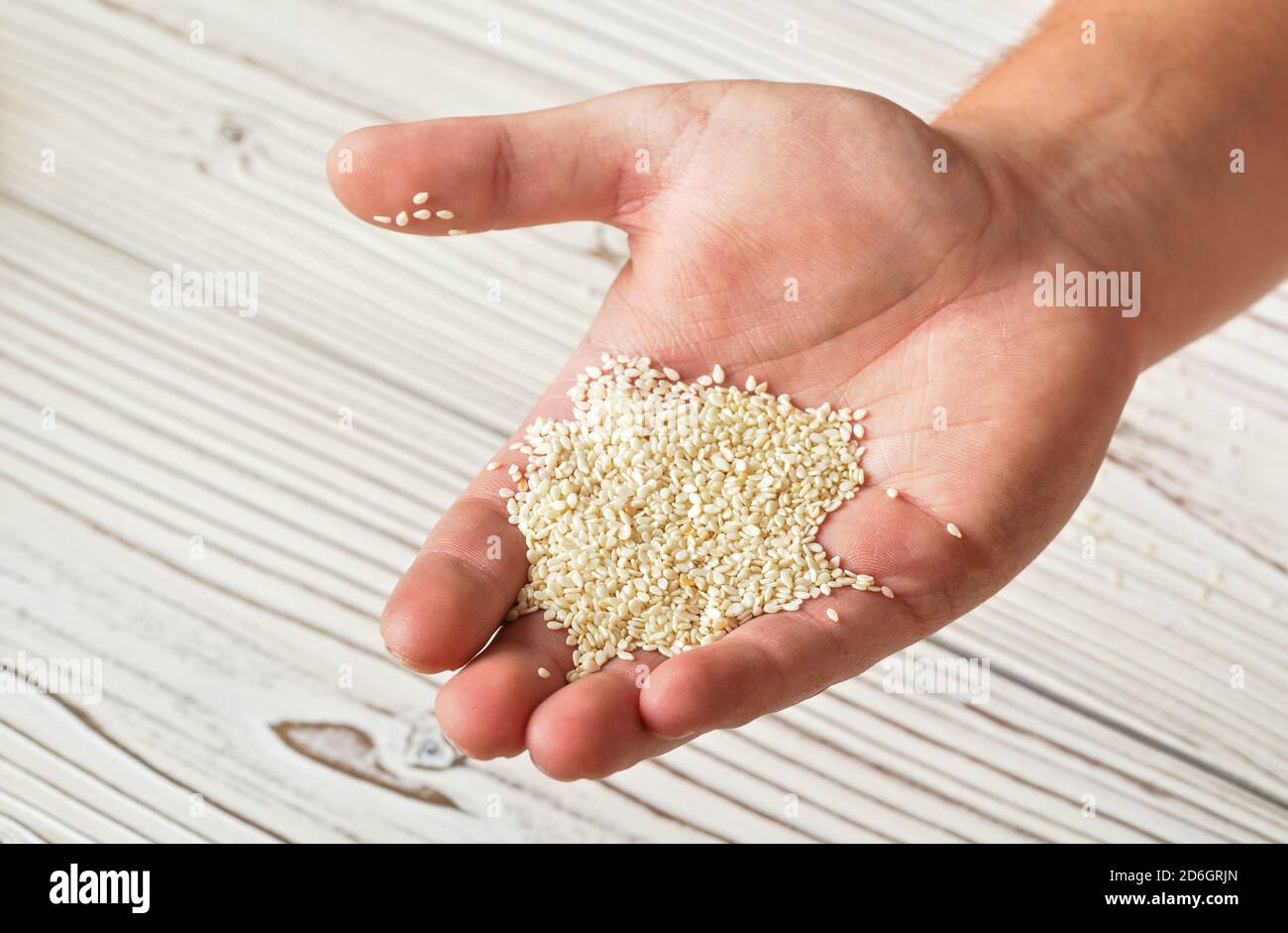 White sesame seeds in man hand, closeup detail, blurred boards table ...