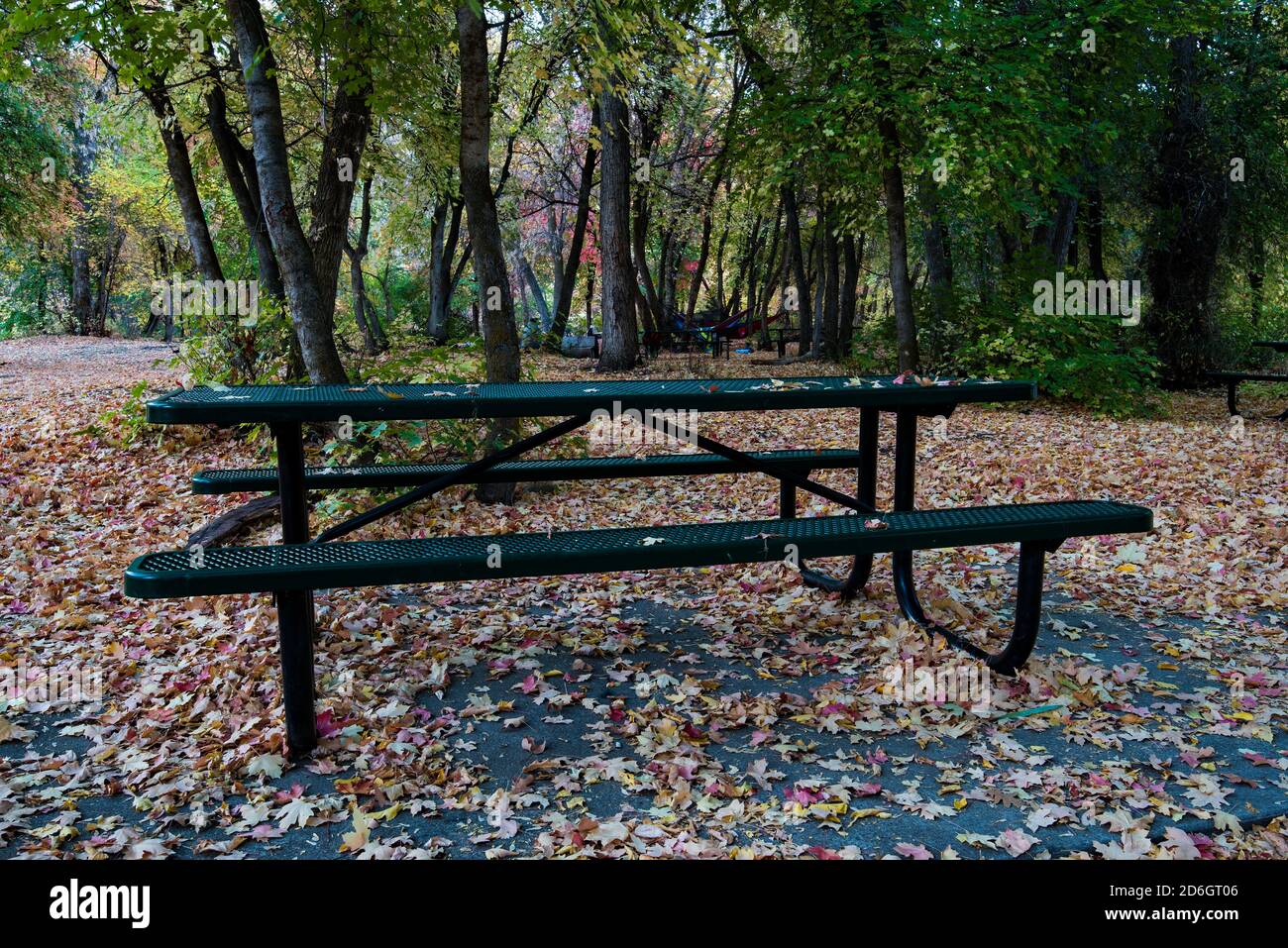 Picnic tables in forest hi-res stock photography and images - Alamy
