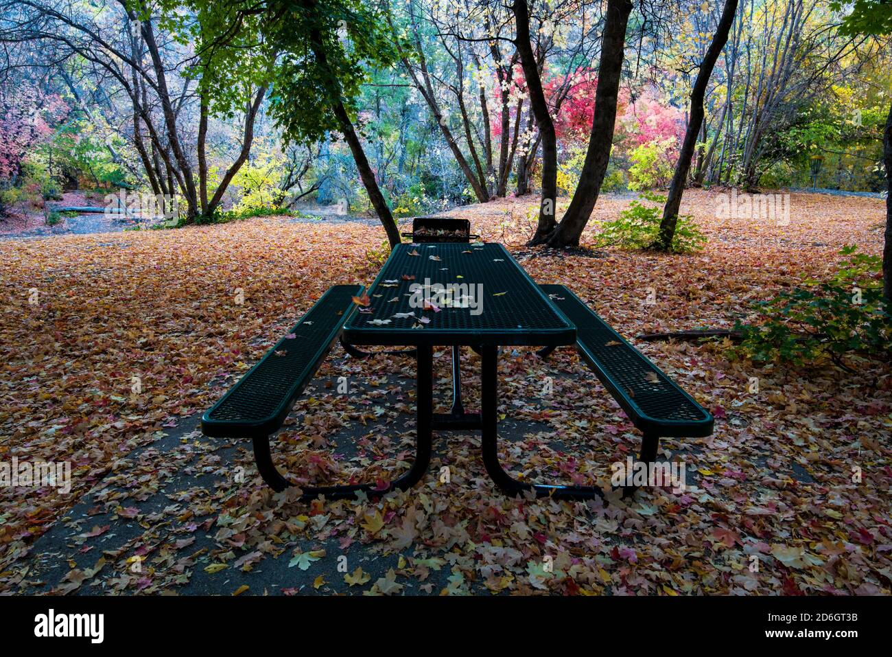 Picnic tables in forest hi-res stock photography and images - Alamy