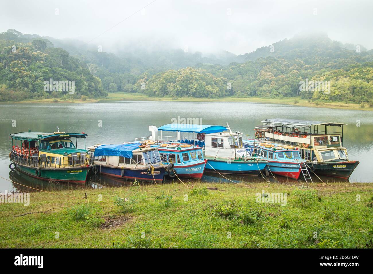 Thekkady boating in forest lake. boat safari in river Munnar Idukki ...