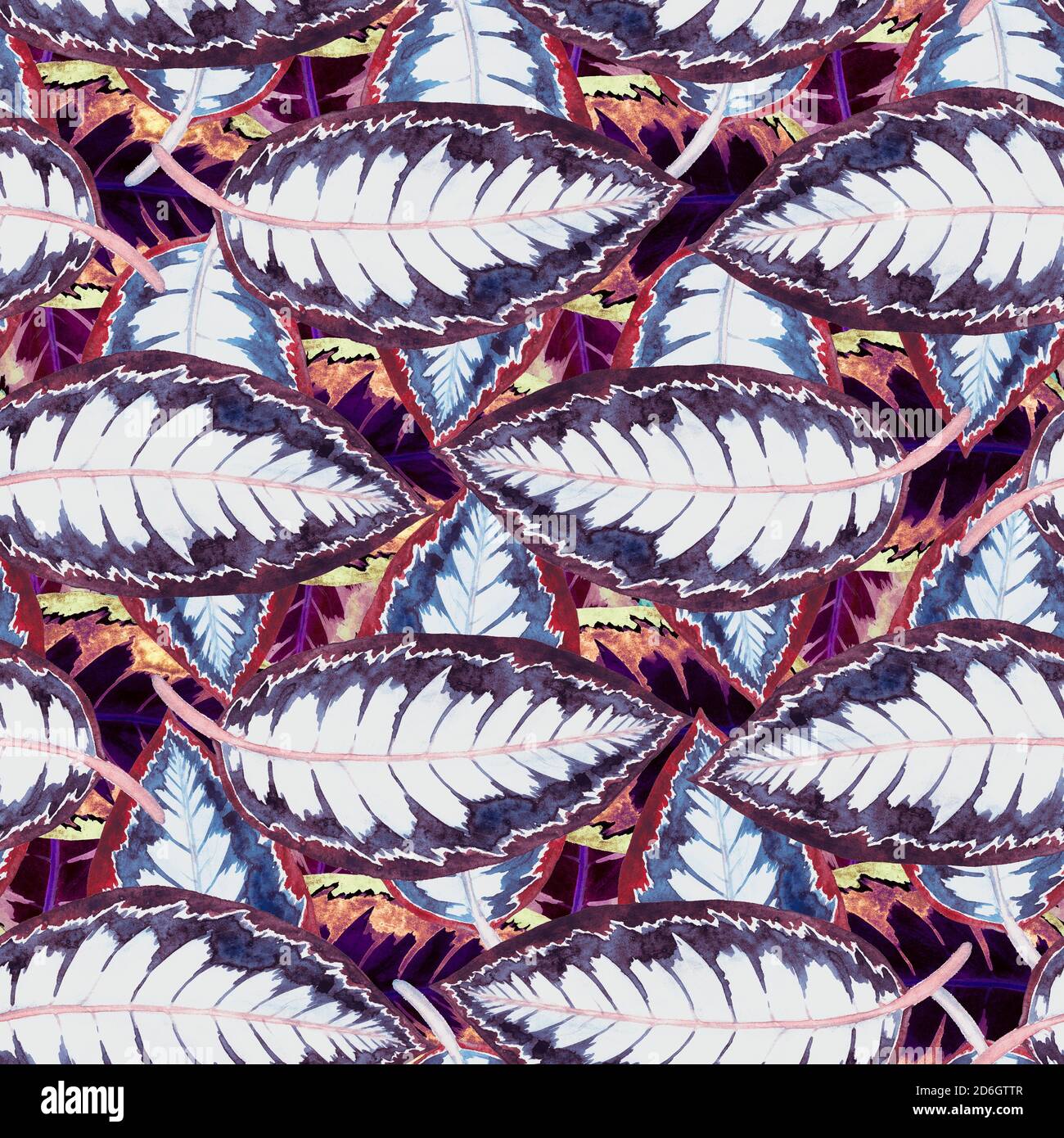 Maranta striped leaves, hand painted watercolor illustration seamless pattern abstract colorful ...