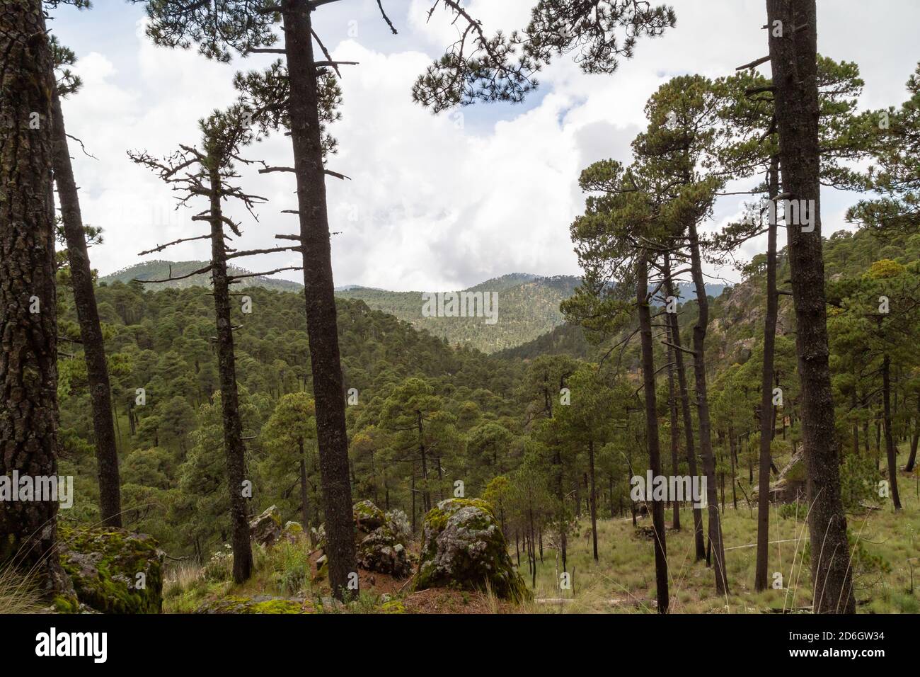 Stunning landscape view of a Mount Tlaloc in Mexico under a cloudy sky ...