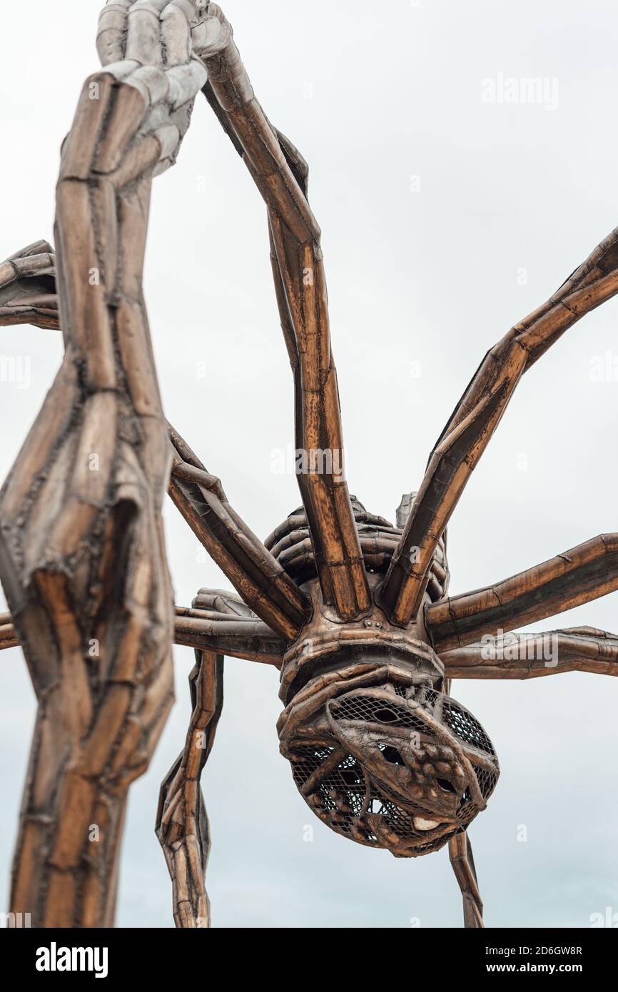 Detail of the Maman Statue by Louise Burgeois, on the exterior of the ...