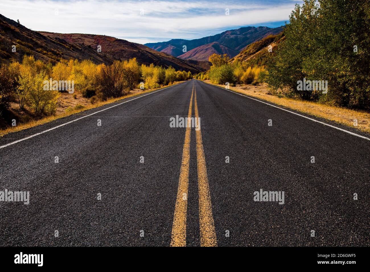 Straight lines in nature hi-res stock photography and images - Alamy