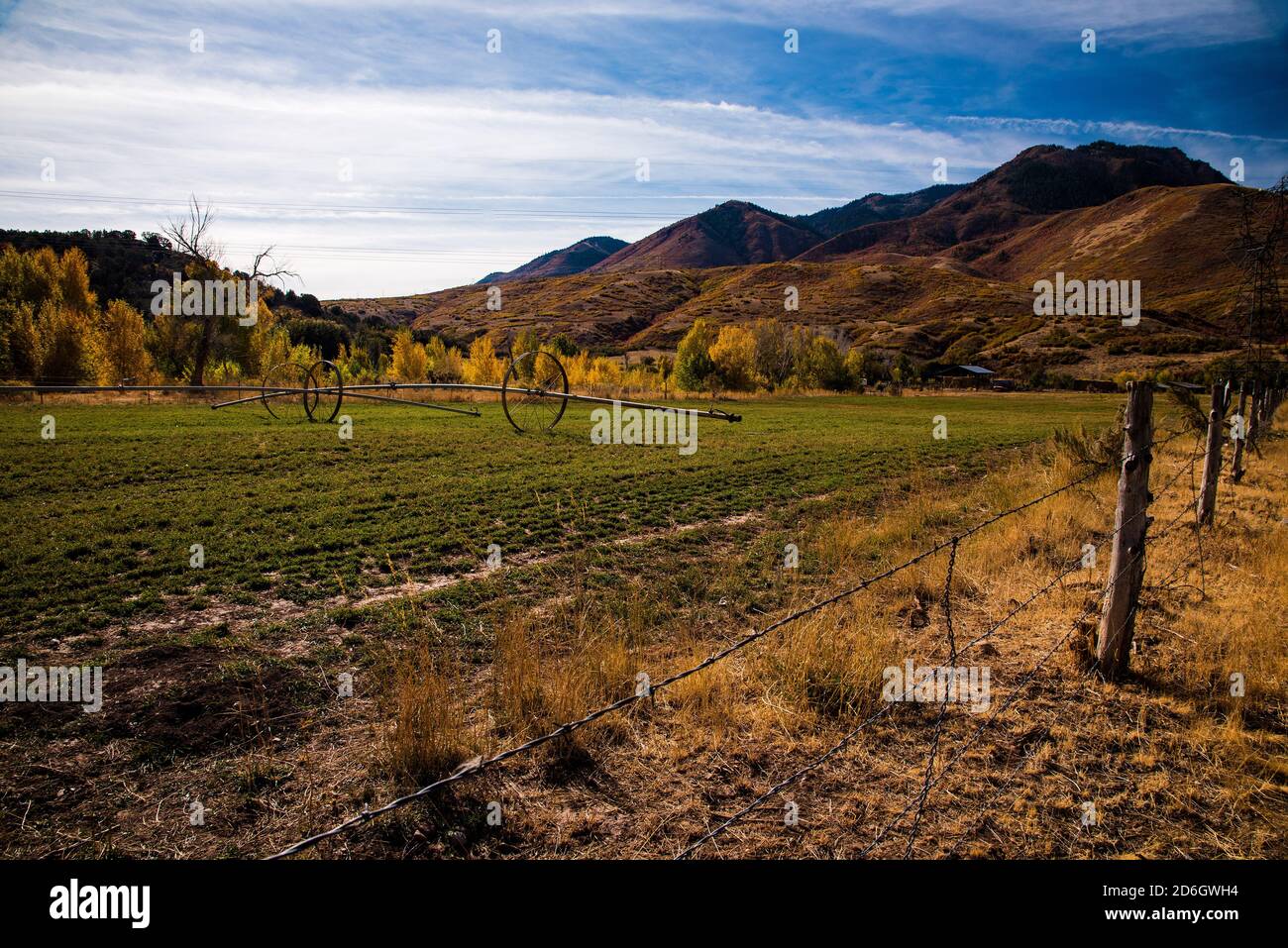 Autumn pasture with sprinkling system in a rural landscape Stock Photo ...