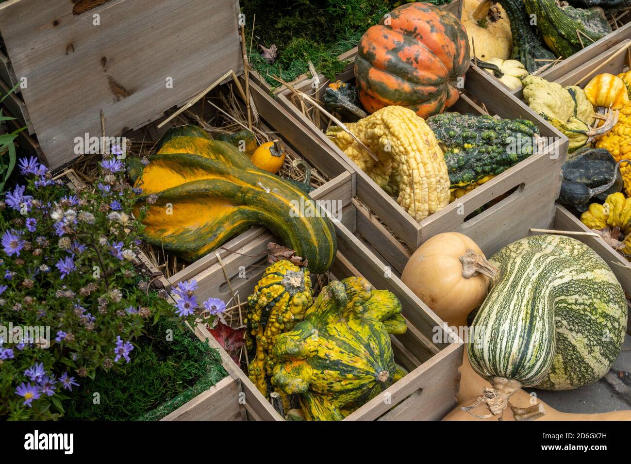Rockefeller Center Channel Gardens in Autumn, NYC Stock Photo - Alamy