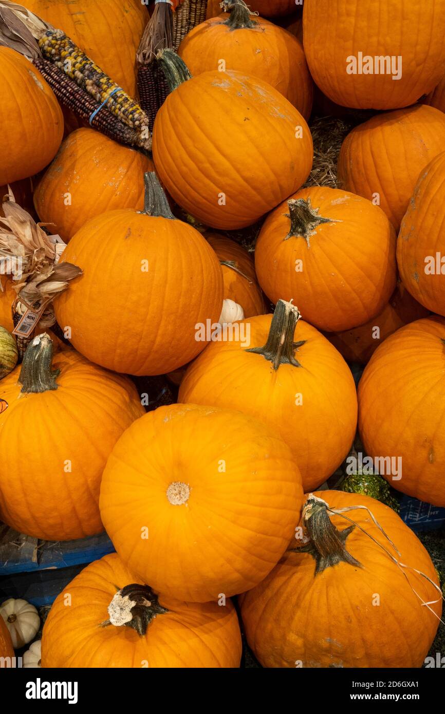 Traditional pumpkins hi-res stock photography and images - Alamy