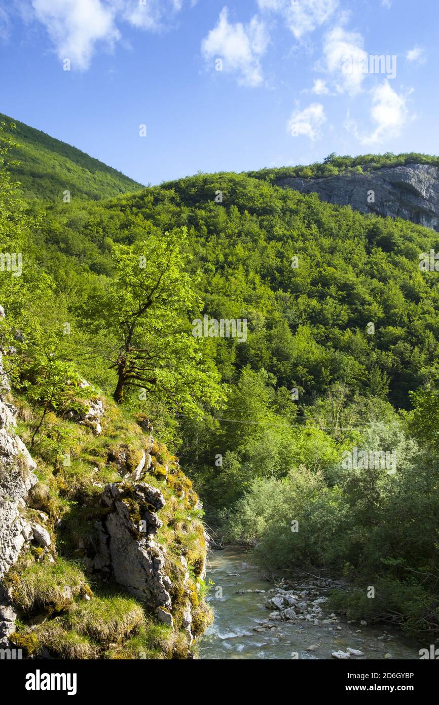 Vertical shot of a river surrounded by trees in Ain, France Stock Photo ...