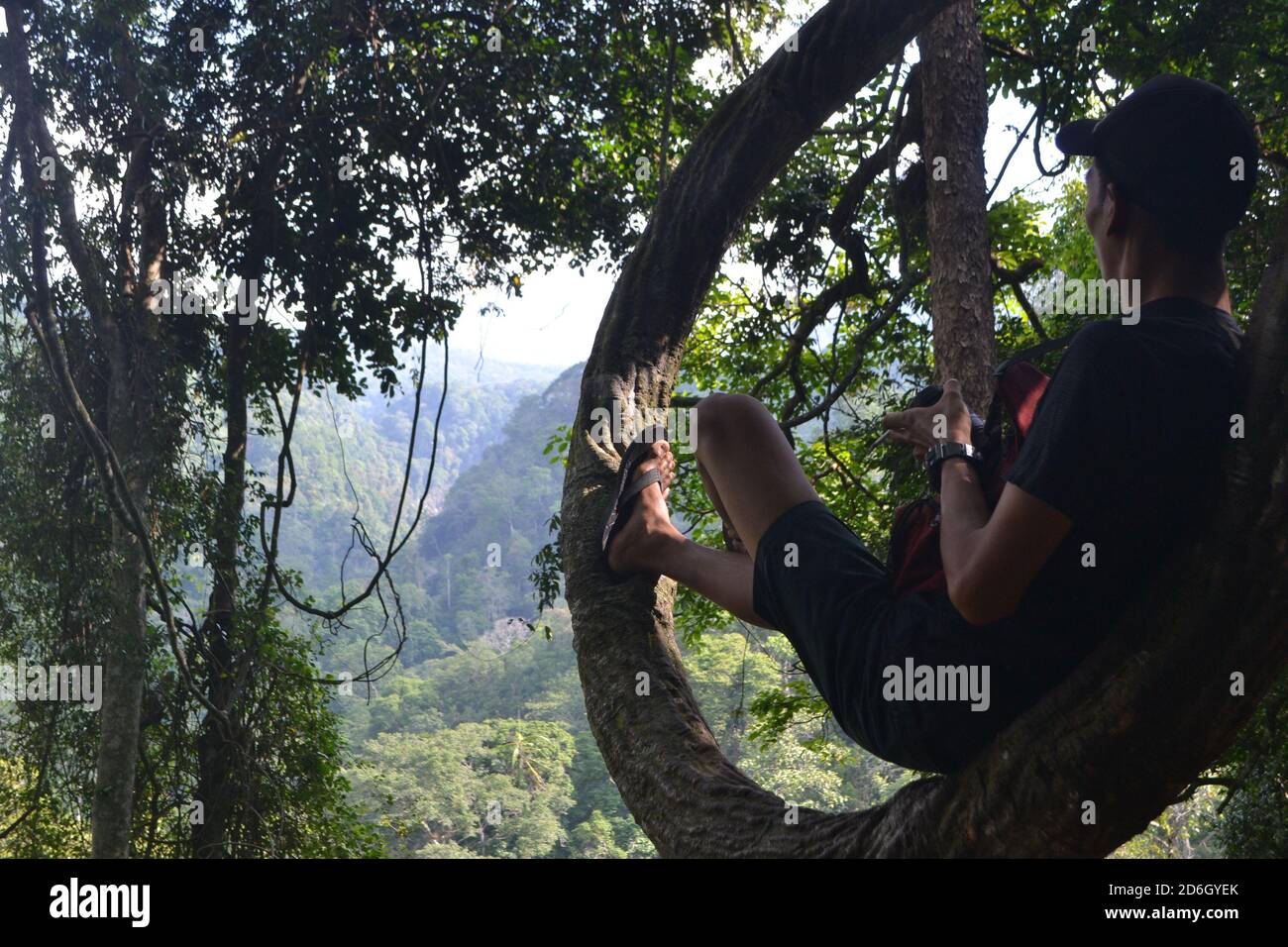 wonderfull rain forest tropis central java ungaran mount indonesia ...