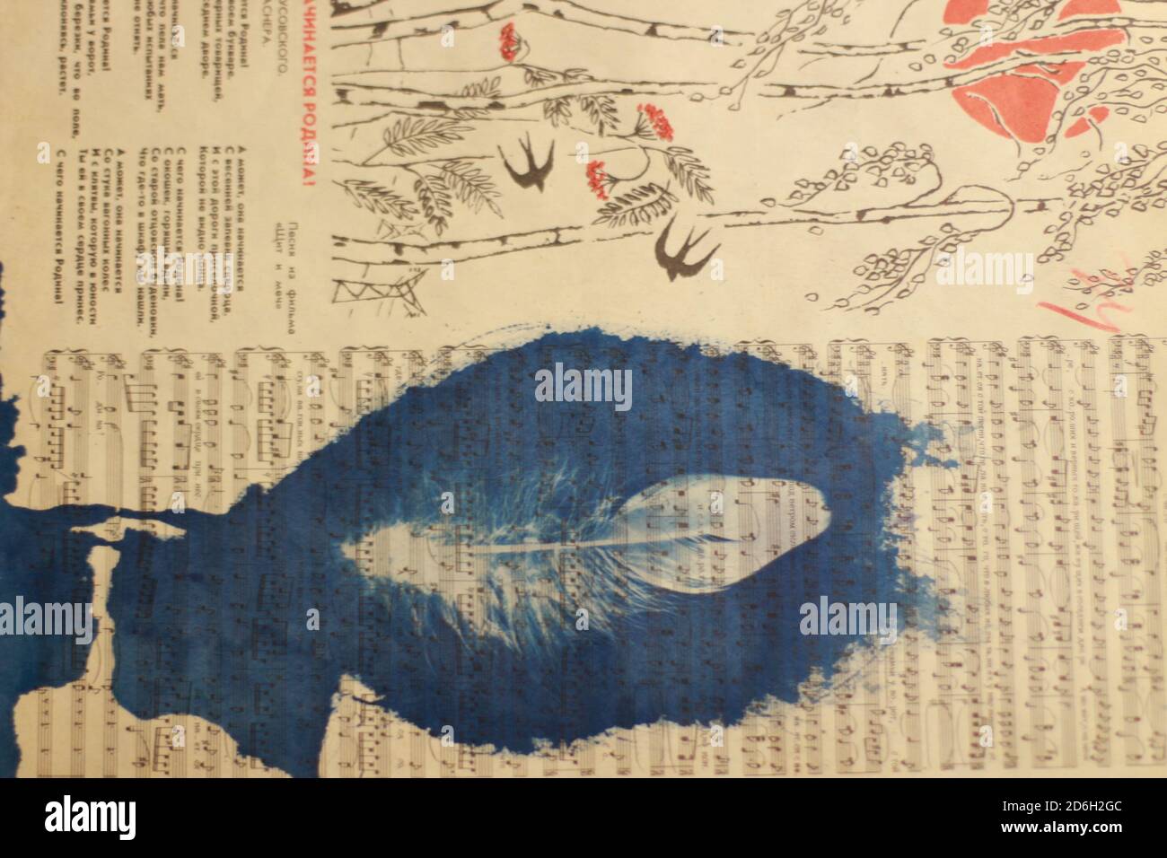 Cyanotype of a feather print drawn on a musical note page Stock Photo ...