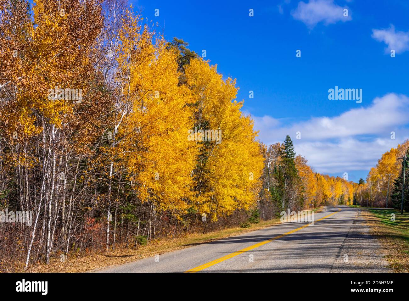 A scenic road witttth fall foliage color through the Buffalo Point ...