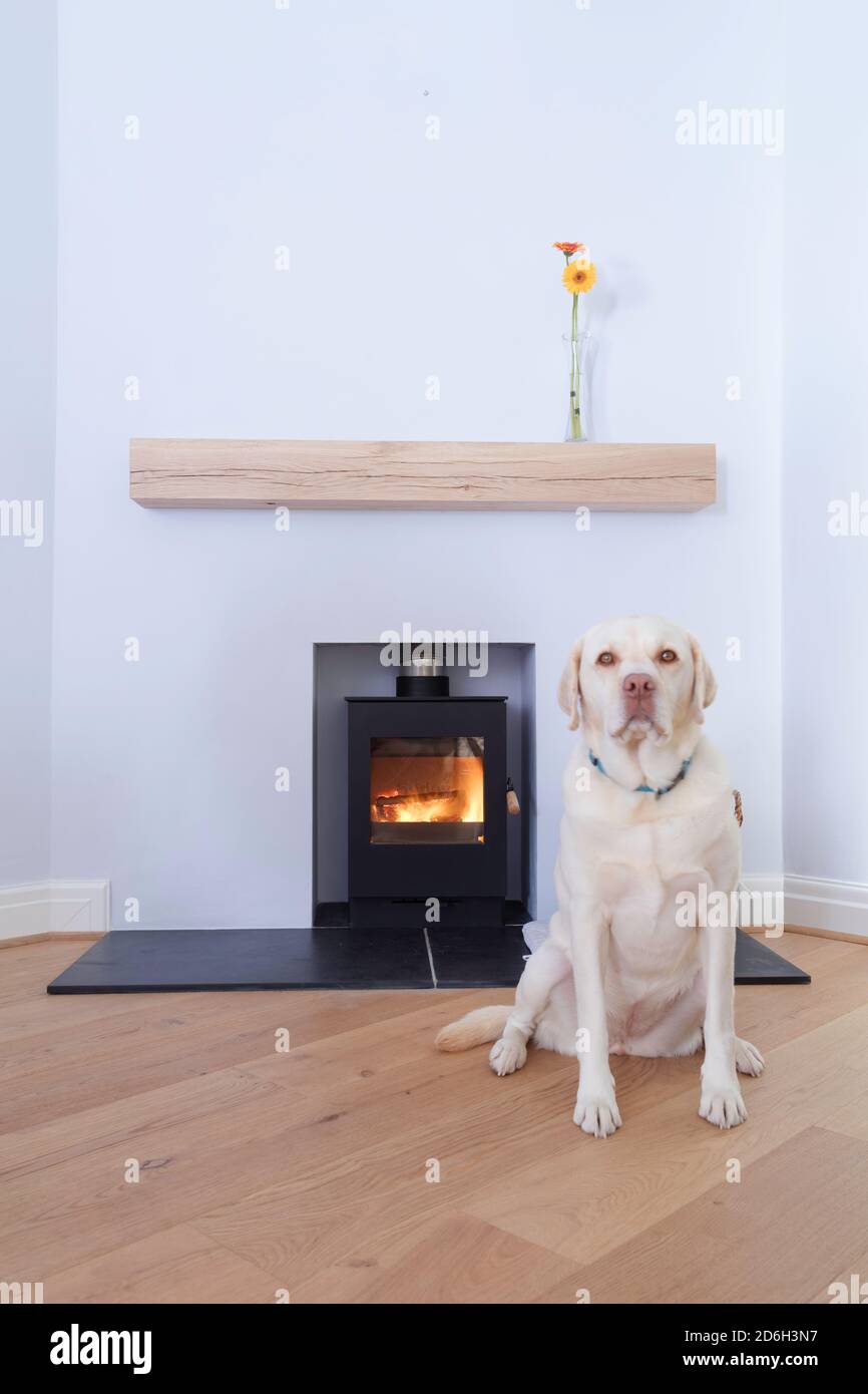 Woodburner and dog hi-res stock photography and images - Alamy
