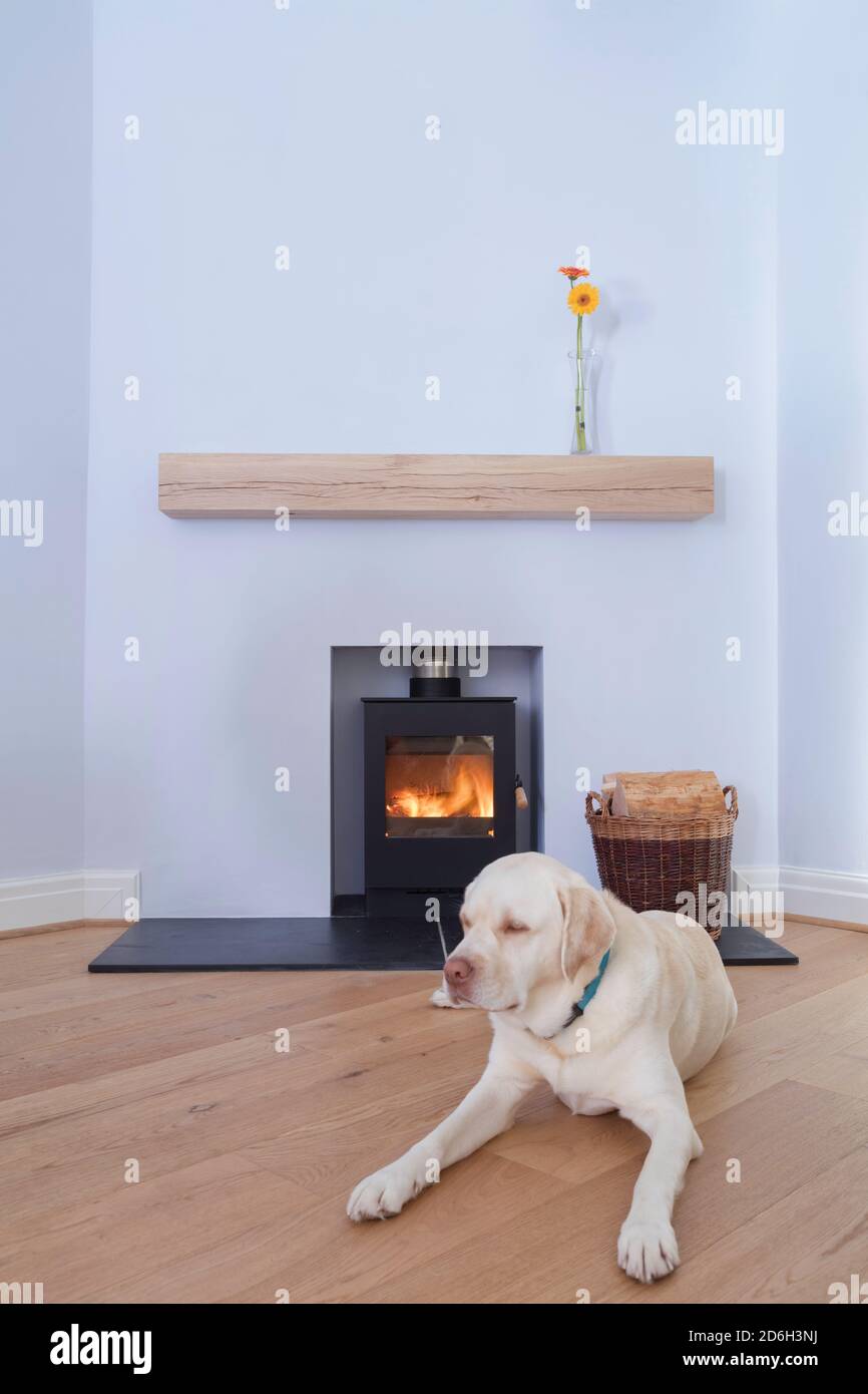 Woodburner and dog hi-res stock photography and images - Alamy