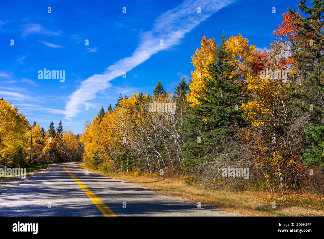 A scenic road witttth fall foliage color through the Buffalo Point ...