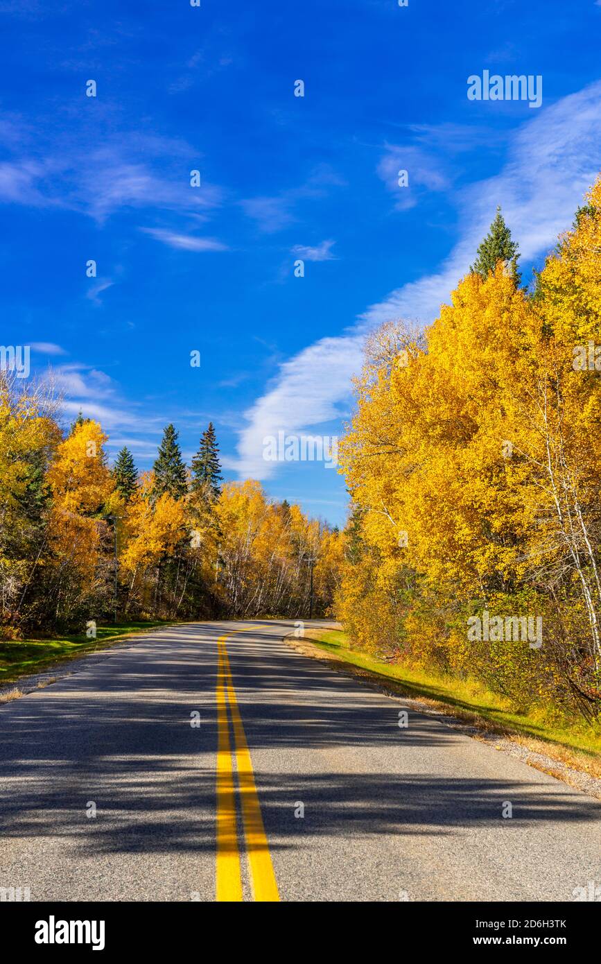 A scenic road witttth fall foliage color through the Buffalo Point ...