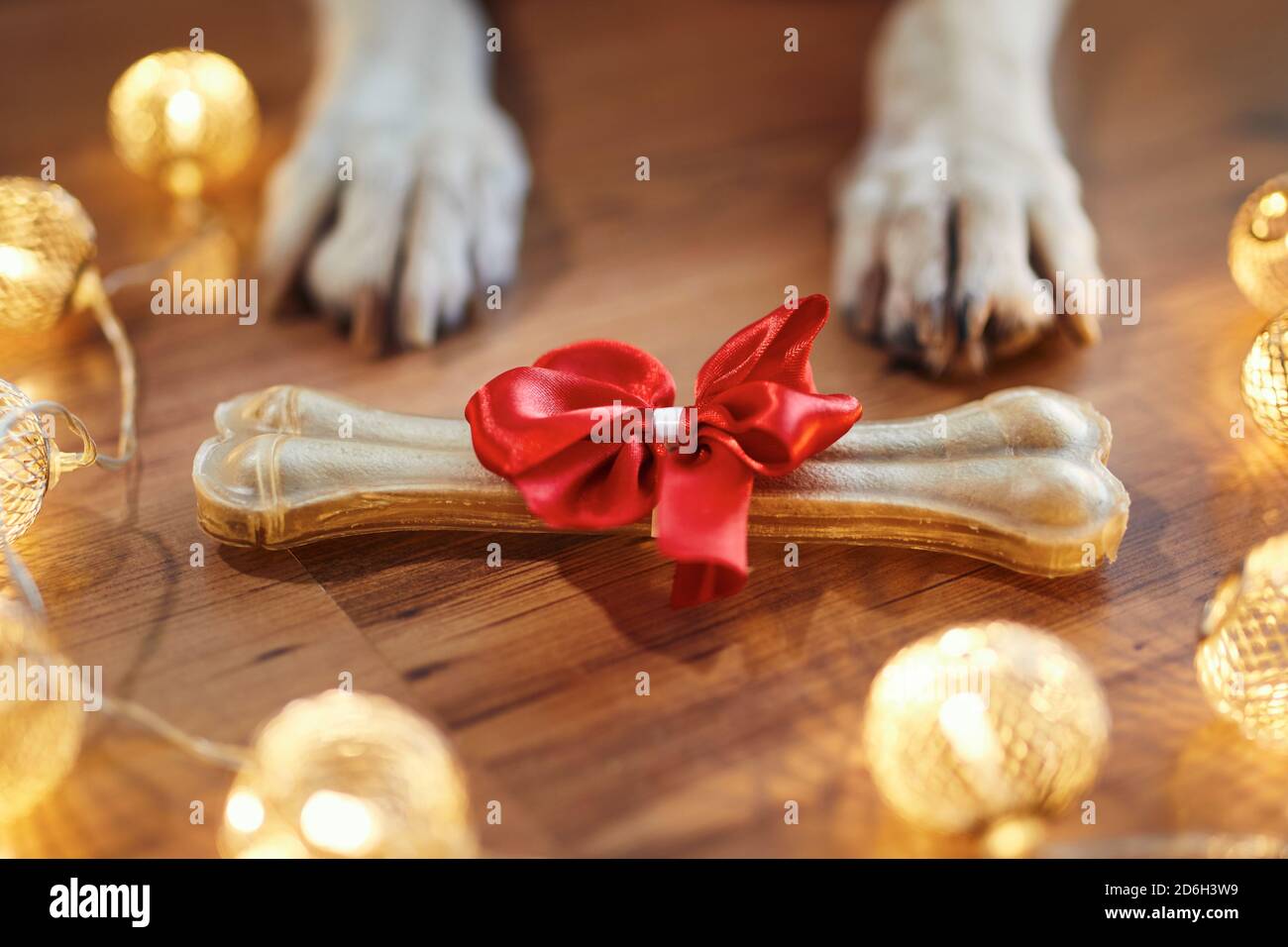 Dog Bone Ribbon High Resolution Stock Photography and Images - Alamy