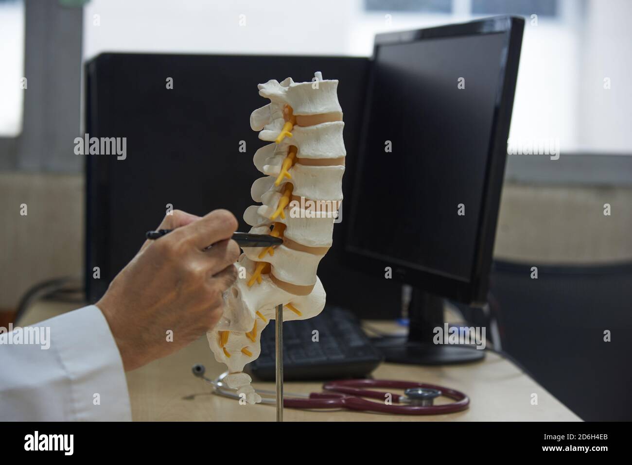 Doctor using pen to demonstratting anatomy of human lumbar spine model ...