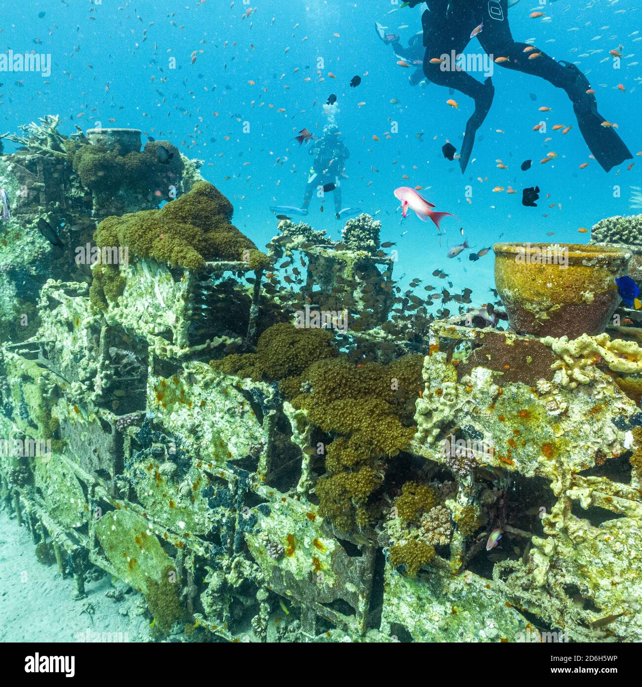 An artificial reef teeming with fish. Picture from a Red Sea reef ...