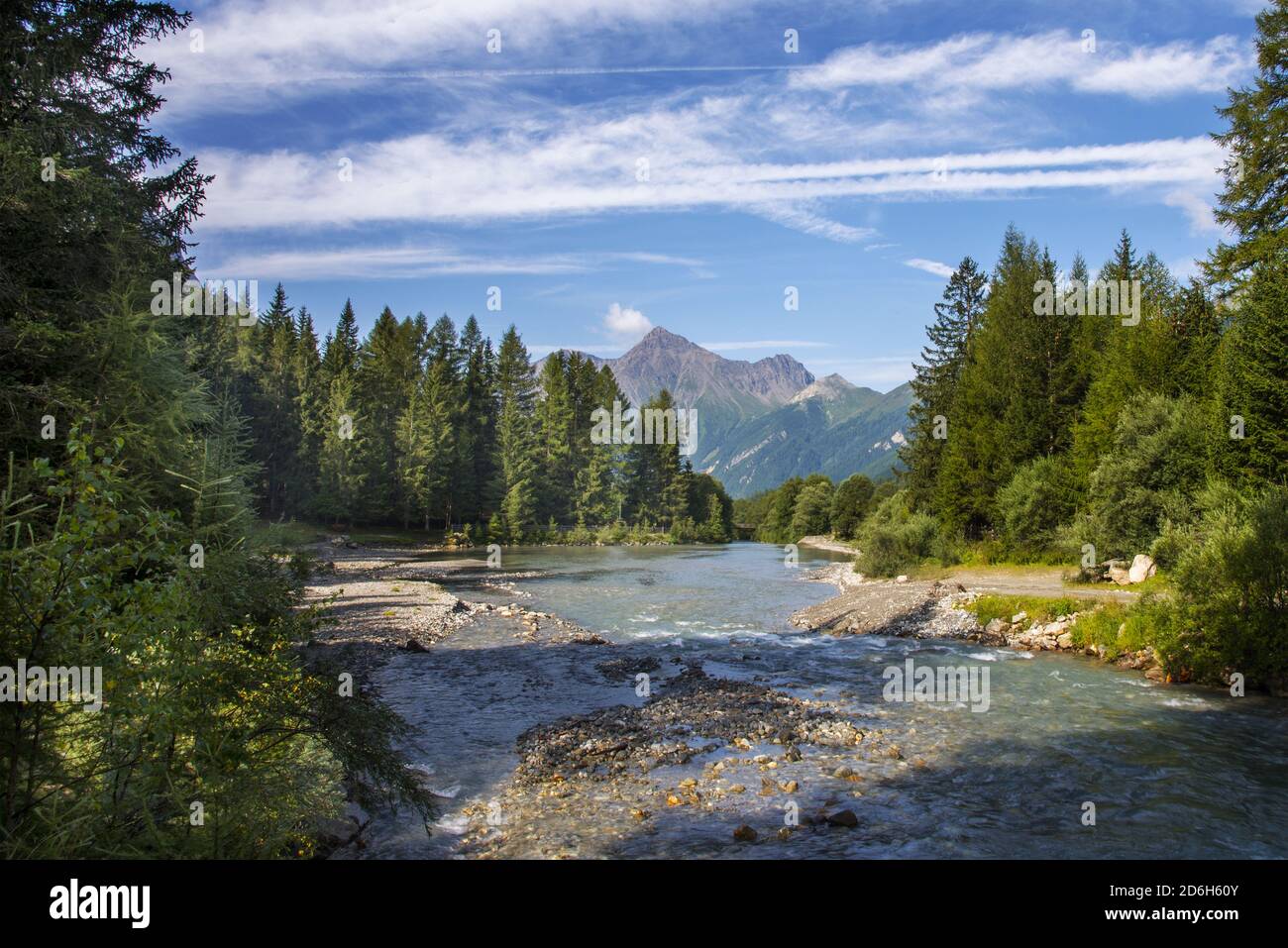 Shallow river flowing through the forest under the sky Stock Photo - Alamy