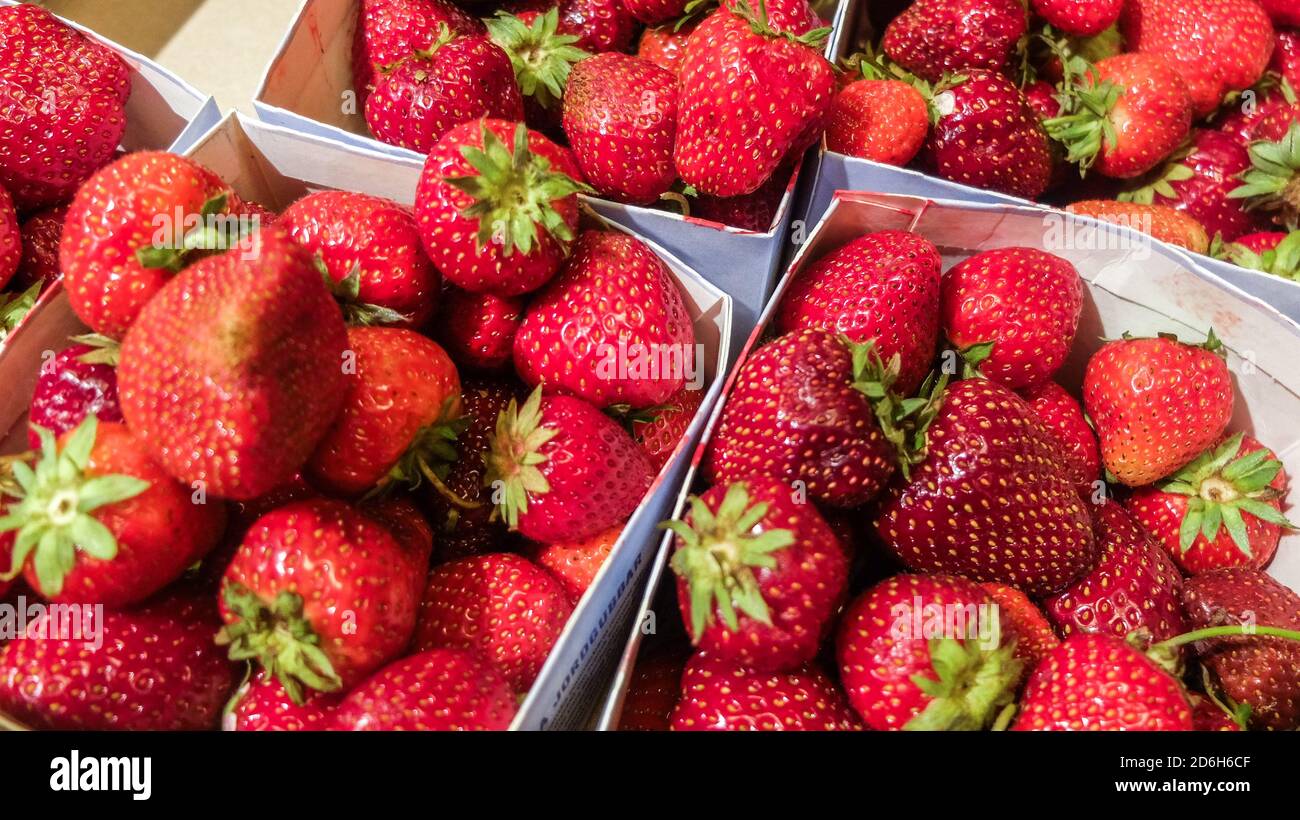 Swedish strawberries in trays Stock Photo - Alamy