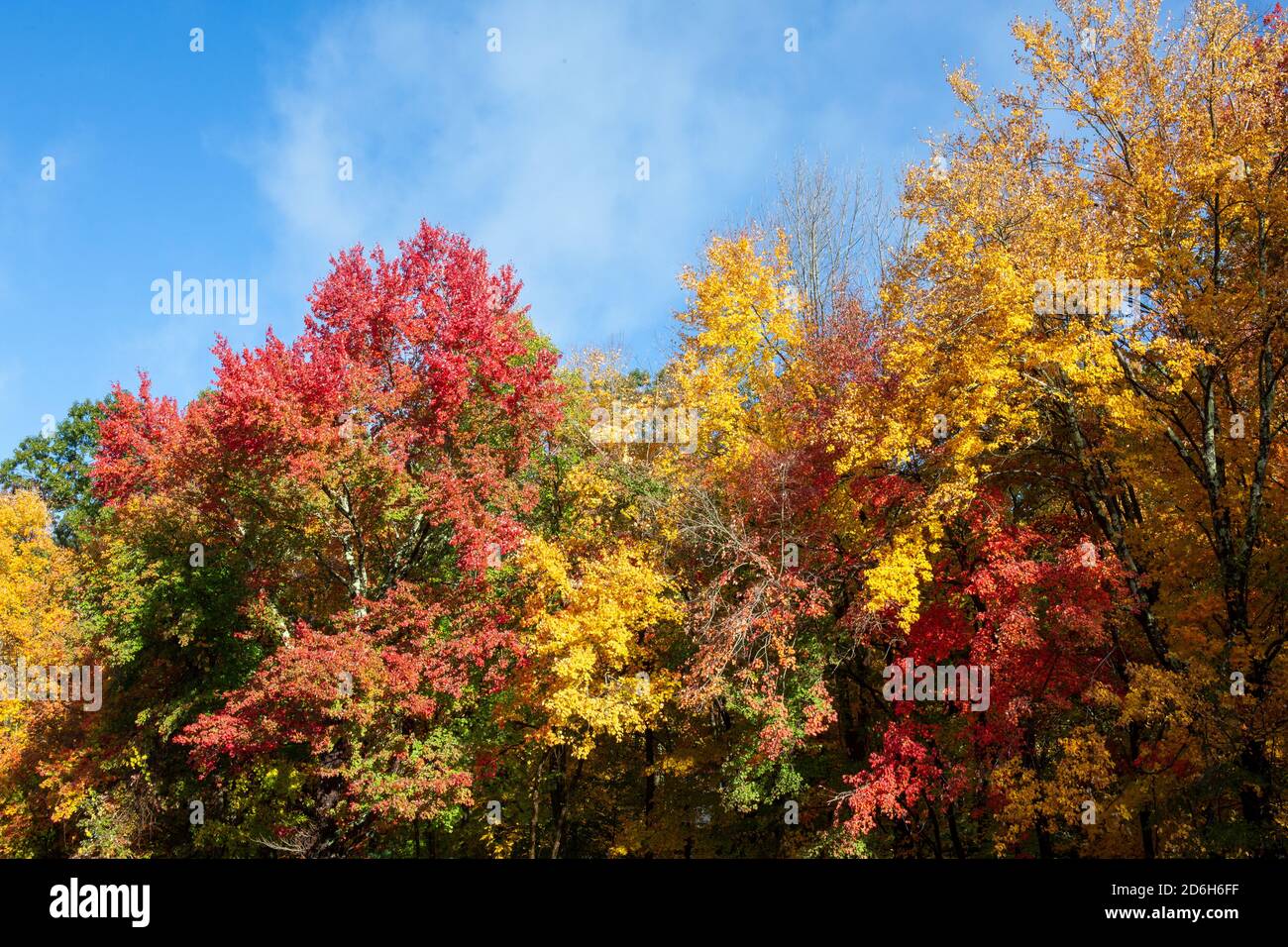 Fall foliage colors of New England Stock Photo - Alamy