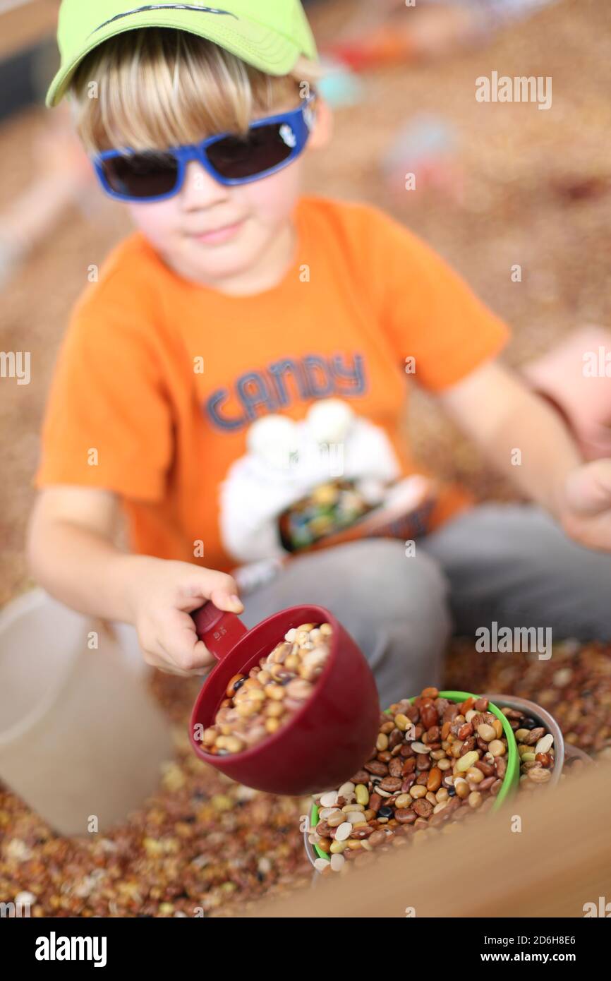 Collecting beans in the bean pit at the Fall Festival at Underwood ...