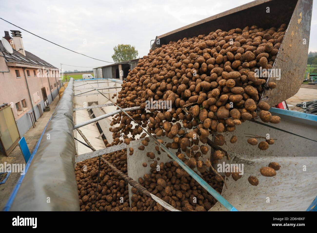 Potato processing factory hi-res stock photography and images - Alamy