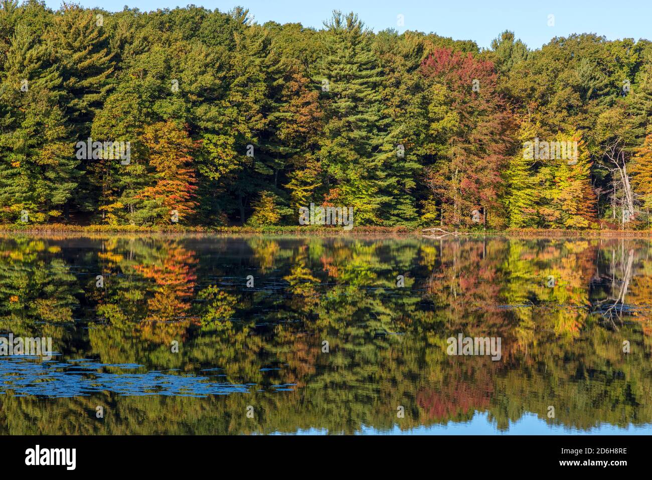 Hall Lake, Autumn, Yankee Springs Recreation Area, MI, USA, by James D ...