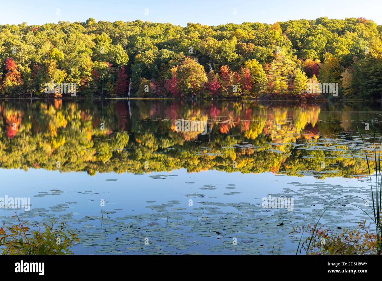 Hall Lake, Autumn, Yankee Springs Recreation Area, MI, USA, by James D ...