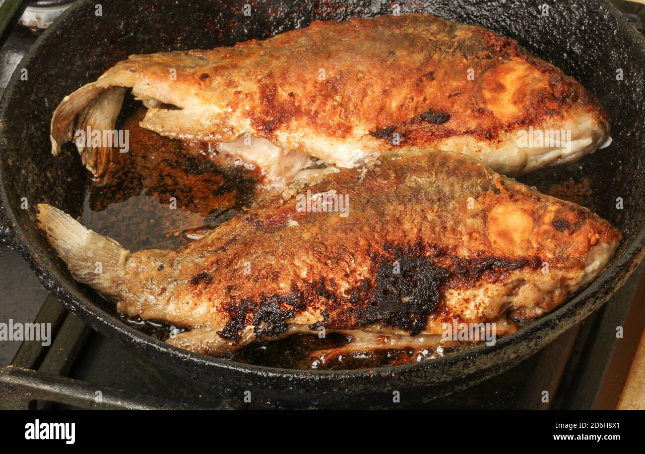 Two plate stove hi-res stock photography and images - Alamy