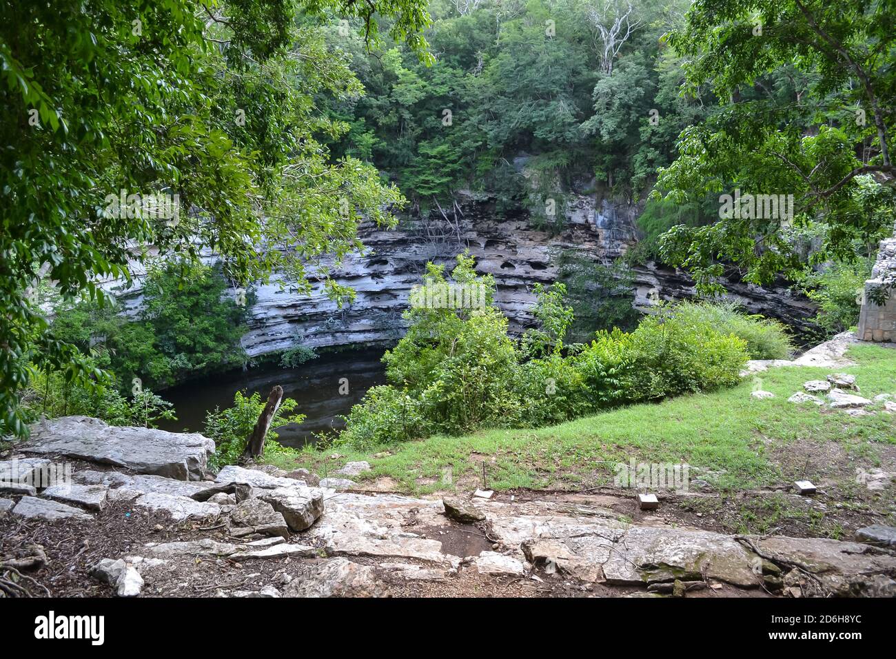 Cenote, a hollow in the tropical forest filled with fresh spring water ...