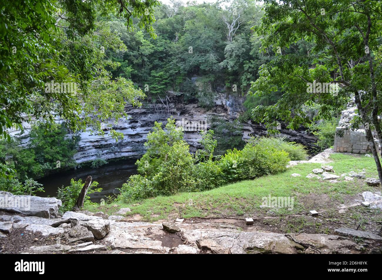 Cenote, a hollow in the tropical forest filled with fresh spring water ...