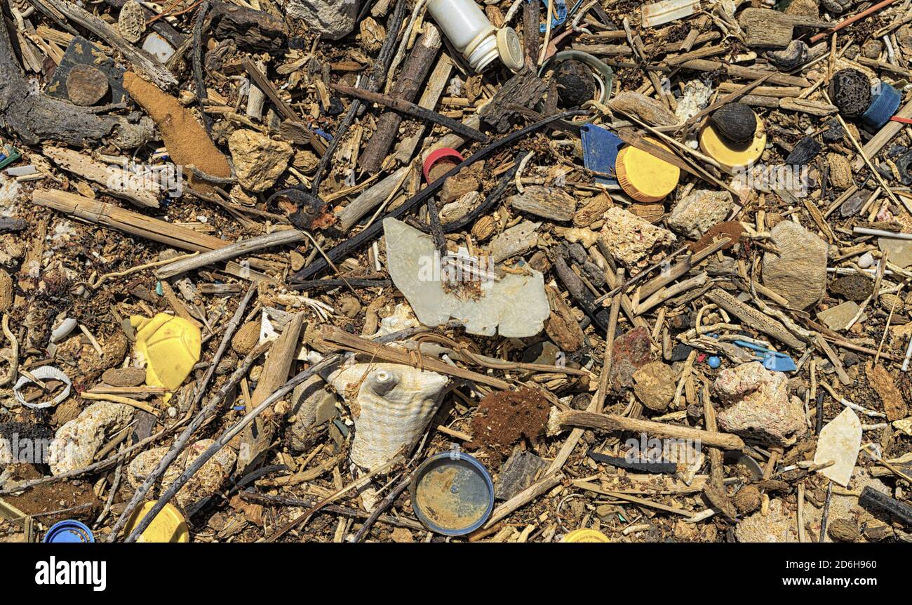 Debris washed ashore with a variety of little things which nature could ...