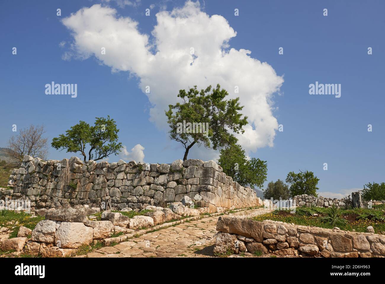 Norba hi-res stock photography and images - Alamy