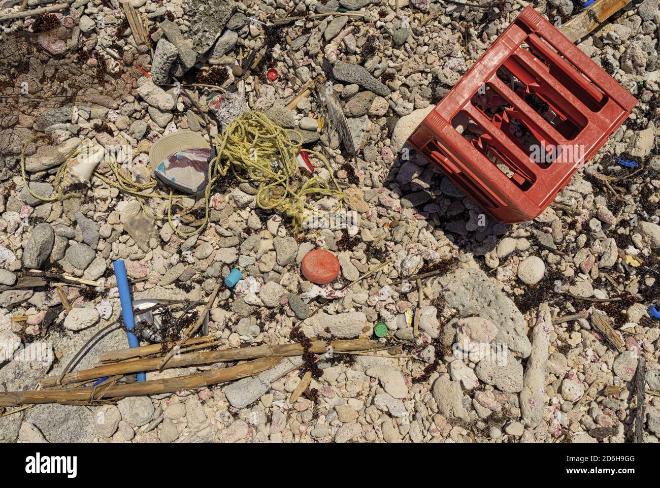 Debris washed ashore with a variety of little things which nature could ...