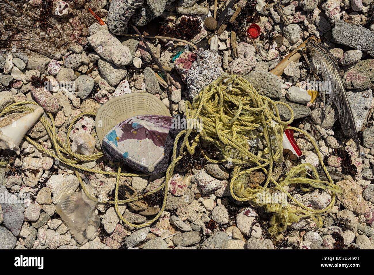 Debris washed ashore with a variety of little things which nature could ...
