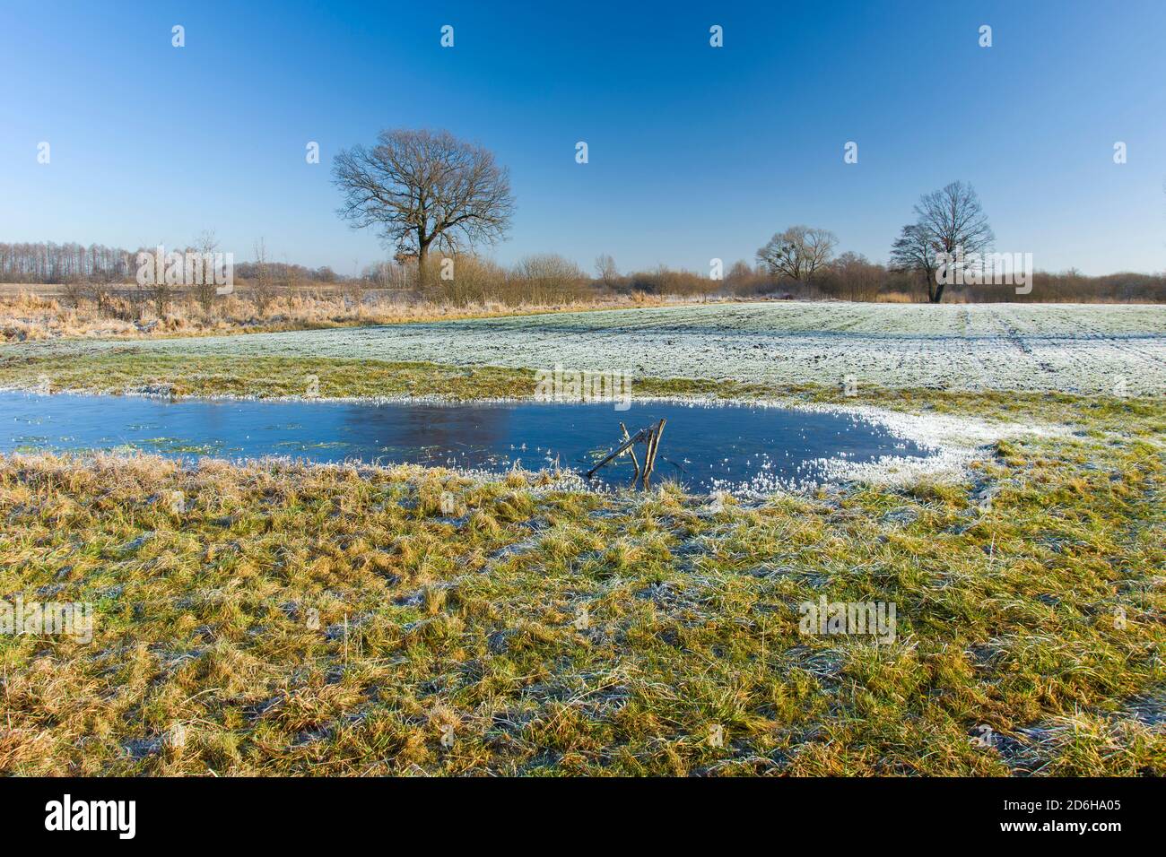 Frozen pond and frost on the meadow, trees on the horizon and blue sky ...