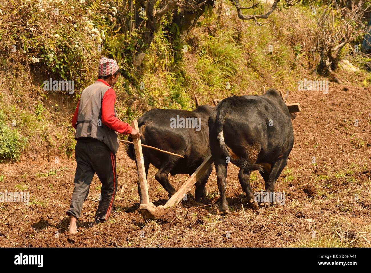 Wooden Plough High Resolution Stock Photography and Images - Alamy