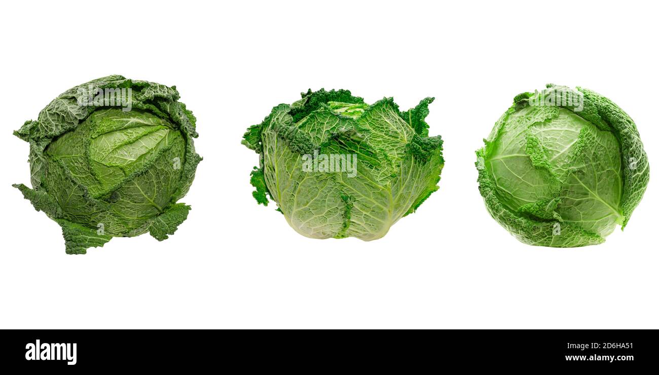 beautiful green cabbage isolated on white background Stock Photo - Alamy