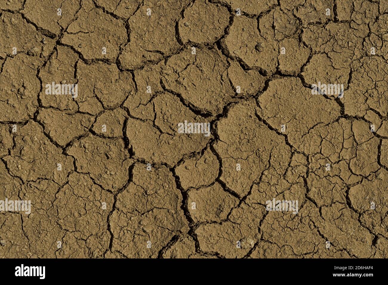 Texture patterns in dry ground. Where for a long time no water has ...