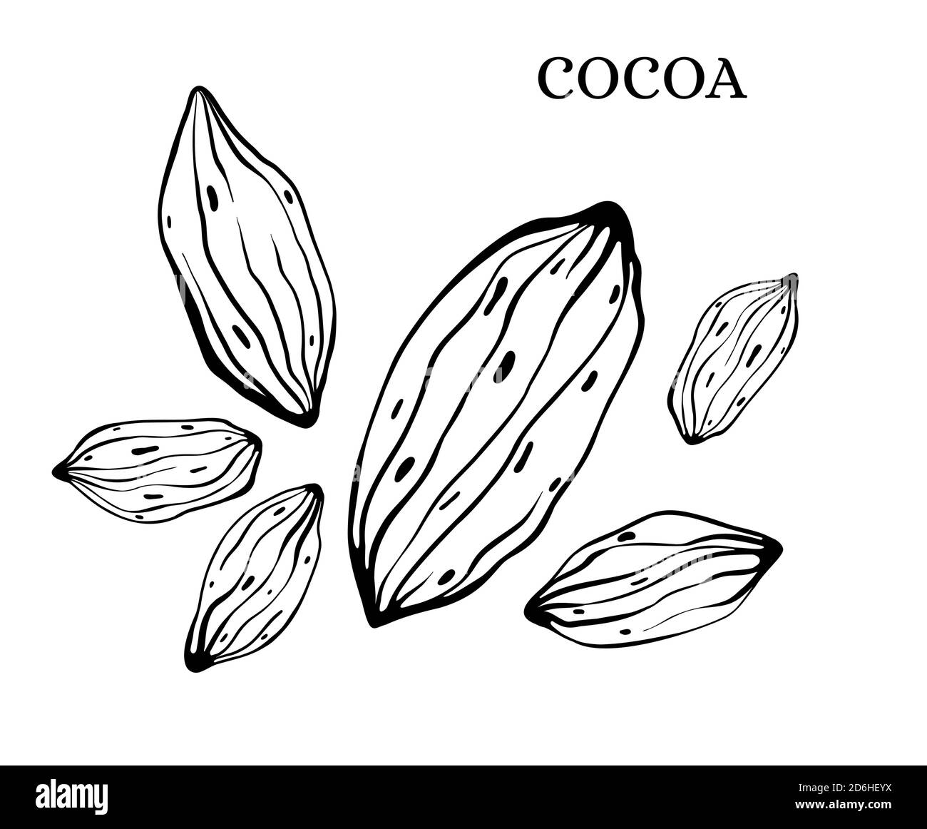 Cocoa tree leaf Black and White Stock Photos & Images - Alamy