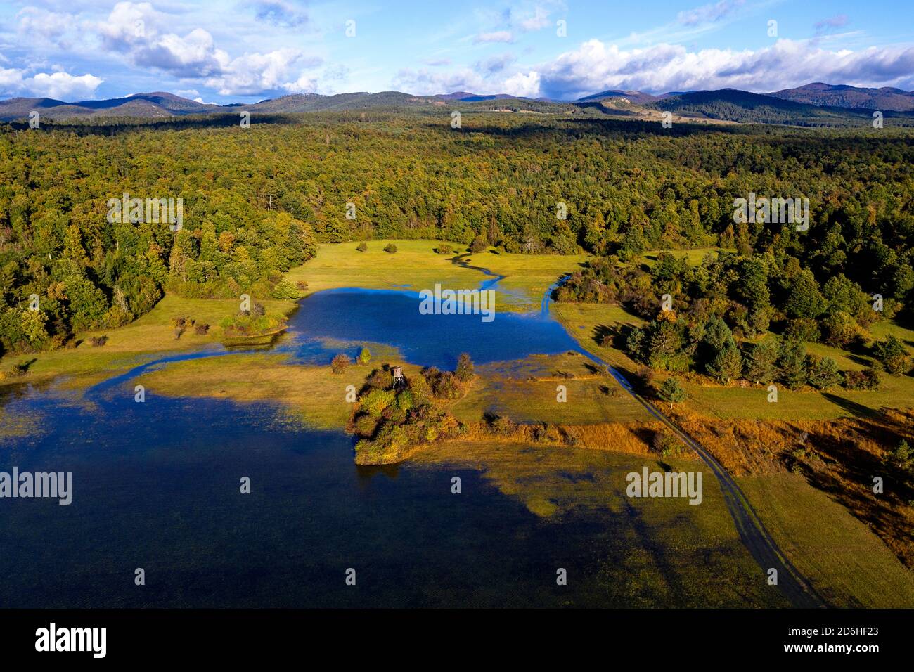 Pivka intermitten lakes, flooded fields with trees, Slovenia Stock ...